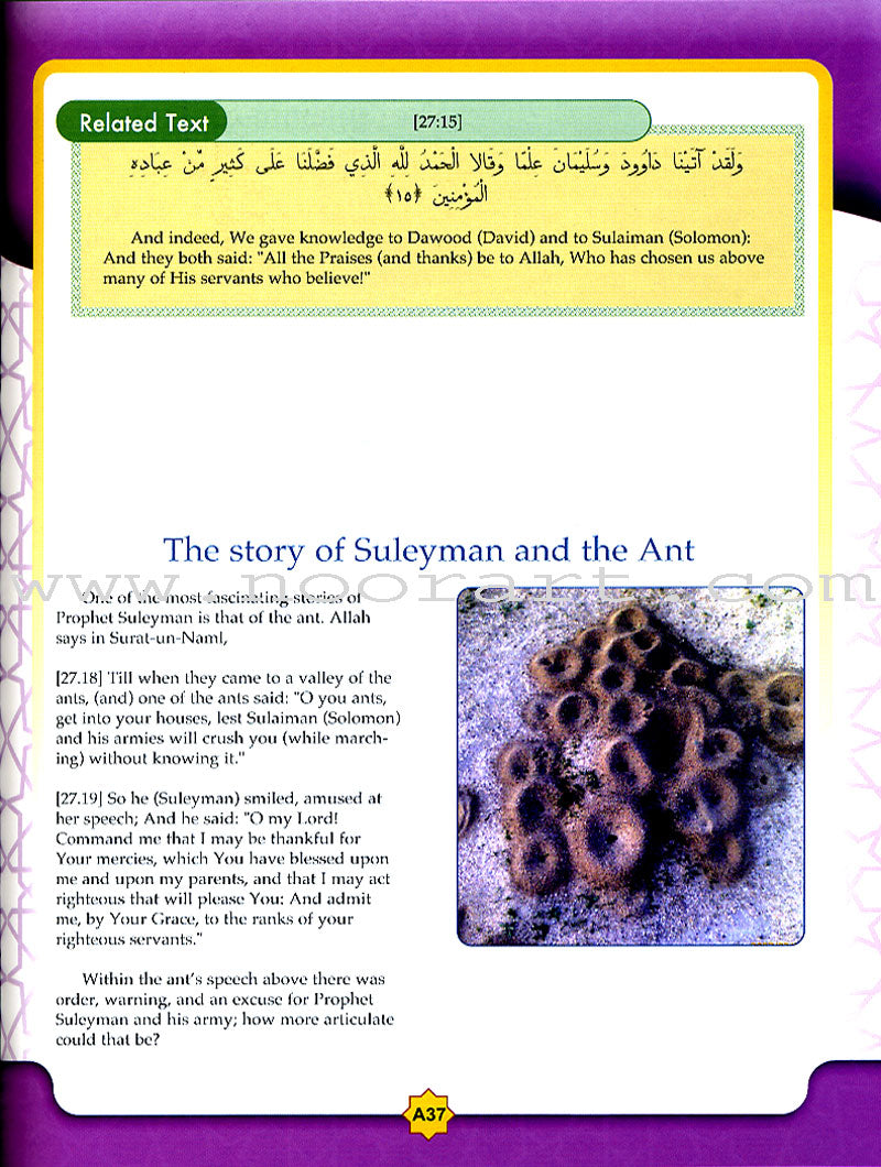Learning Islam Textbook: Level 2 (7th Grade): Nabil Sadoun, Ed.D and ...